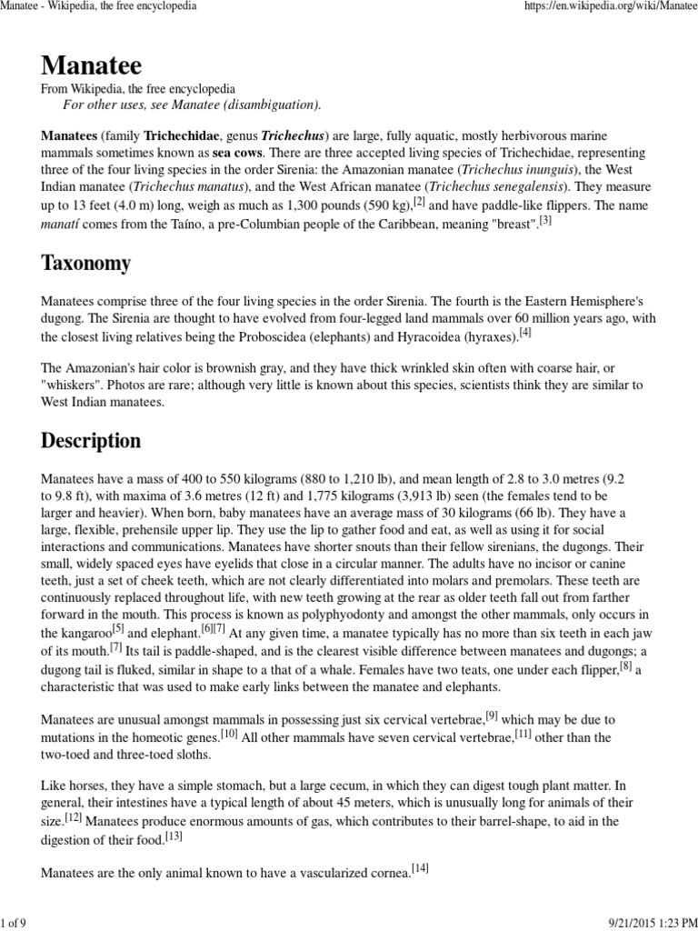 Manatee Basics | PDF | Ungulates | Tooth