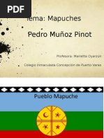 Los Mapuches | PDF