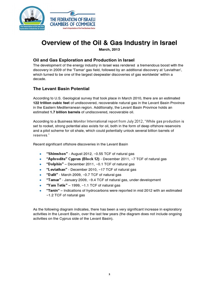 Israel Oil and Gas Overview | PDF | Natural Gas | Liquefied Natural Gas