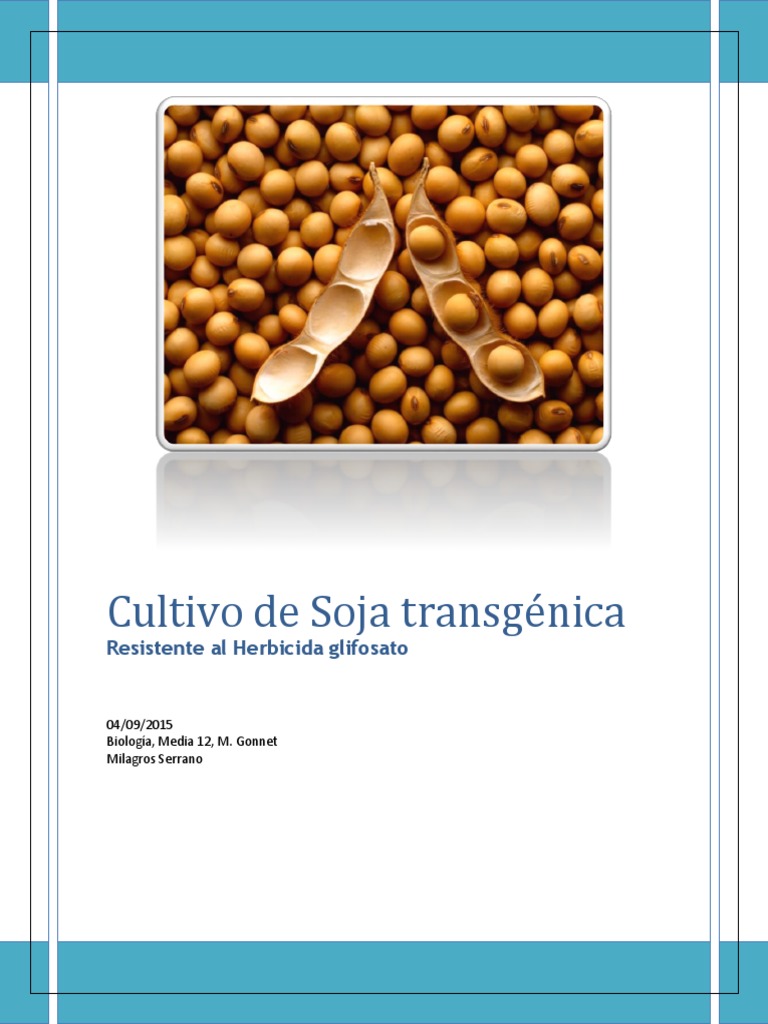 Cultivo de Soja Transgénica | Organismo genéticamente modificado | Haba ...