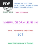 Guía de Instalación Oracle XE y SQL Developer | PDF | SQL | Oracle ...