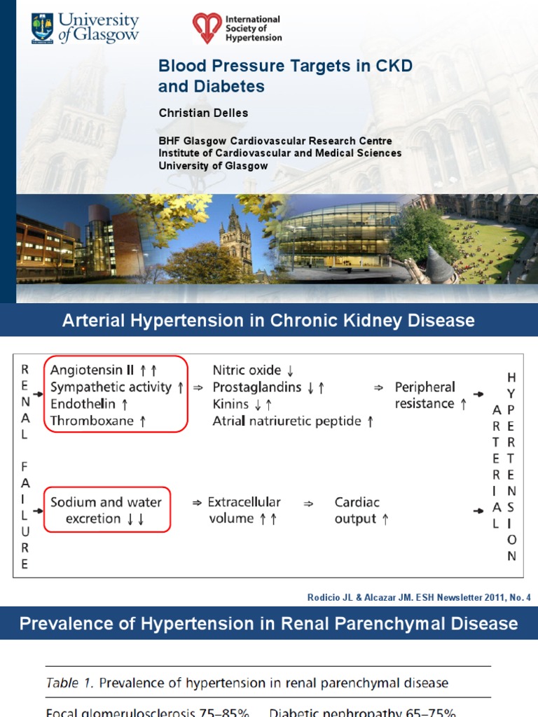 Blood Pressure Targets in CKD and Diabetes | PDF | Chronic Kidney ...