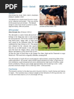 Indigenous Veld Goat Breeds Overview | PDF | Goat