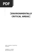 Environmentally Critical Projects | PDF | Non Ferrous Metal | Metals