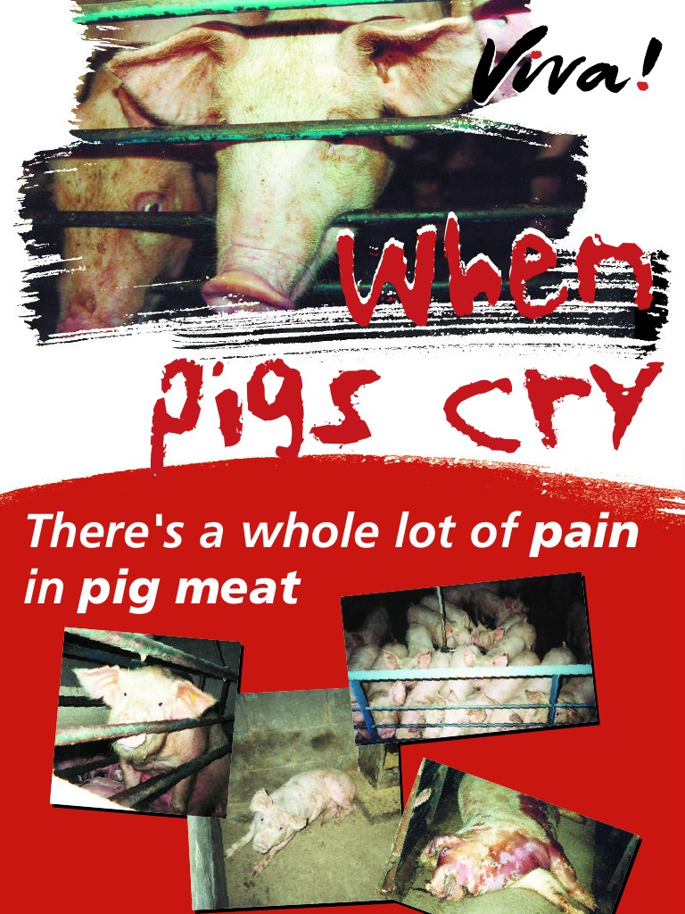 When Pigs Cry (Poster) | PDF