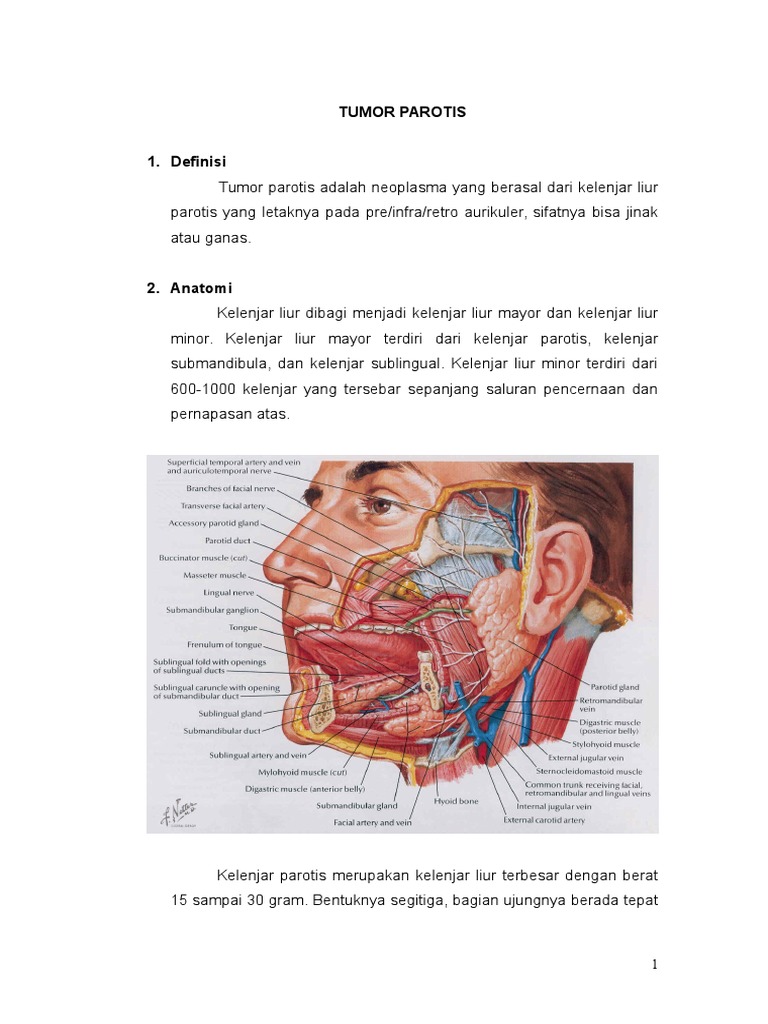 Tumor Parotis | PDF