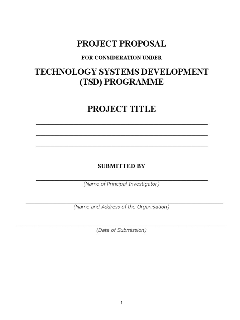 TSD Format Guidelines | PDF
