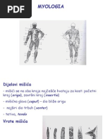 Slijepe Karte Azija | PDF