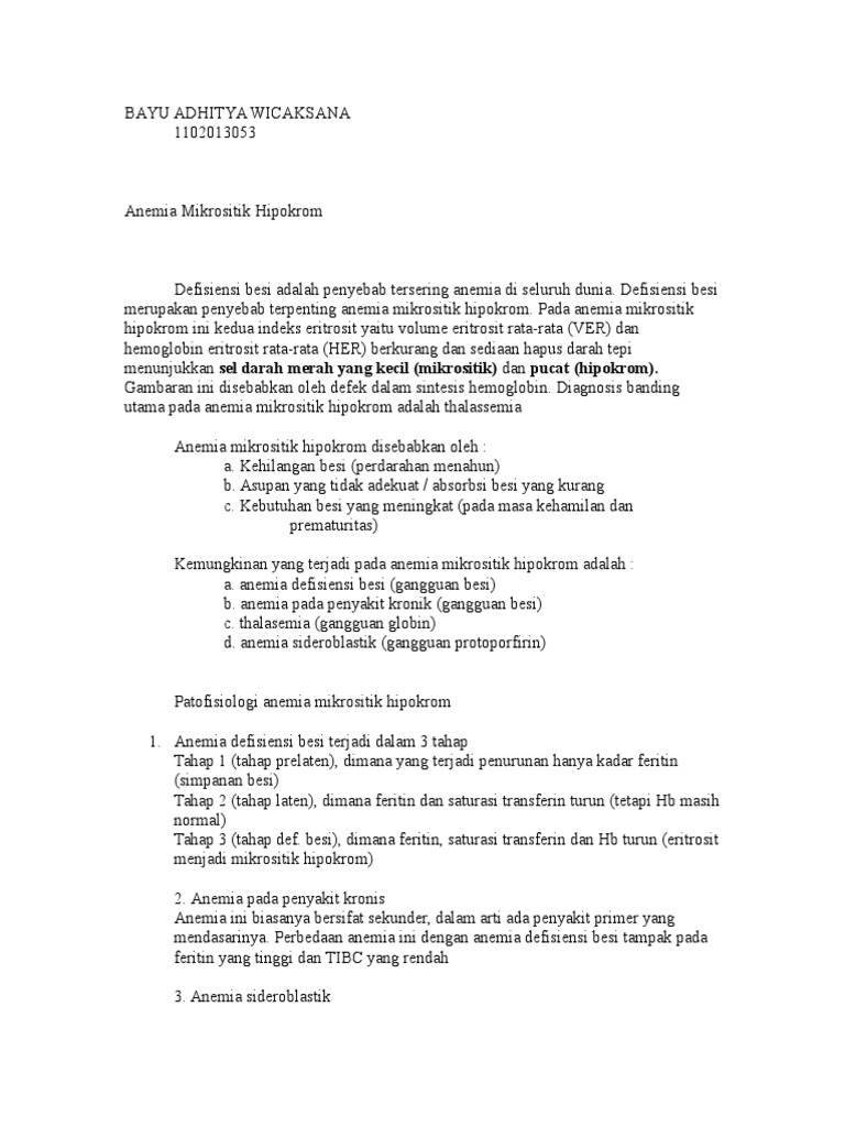 Anemia Mikrositik Hipokrom | PDF