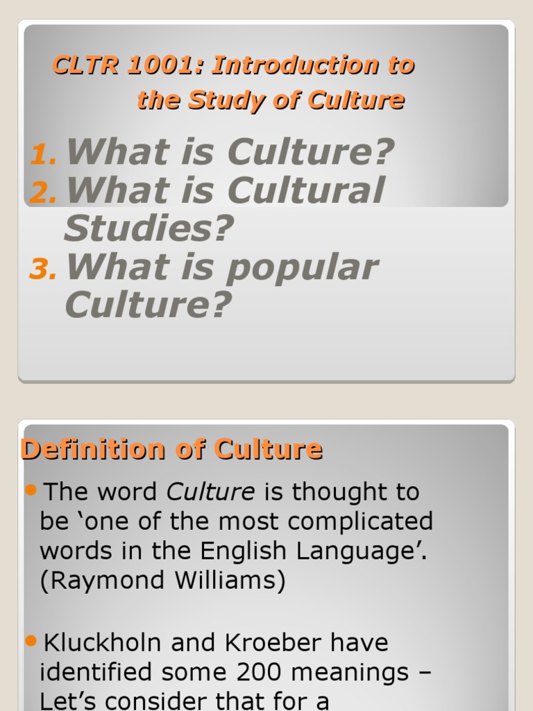Introducing Culture Power Point Presentation | PDF | Popular Culture ...