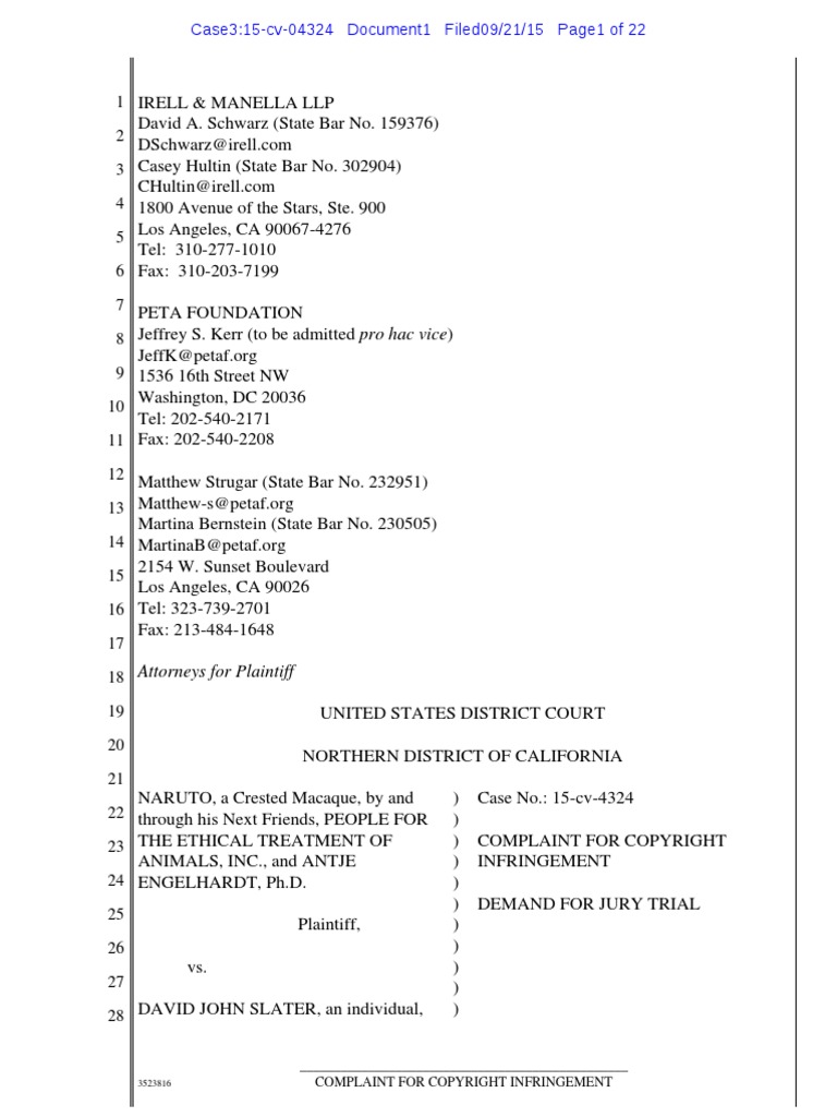 Naruto v. Slater: PETA's "Monkey Selfie" Copyright Complaint | PDF ...