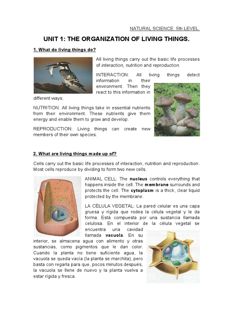 Unit 1. The Organization of Living Things | PDF