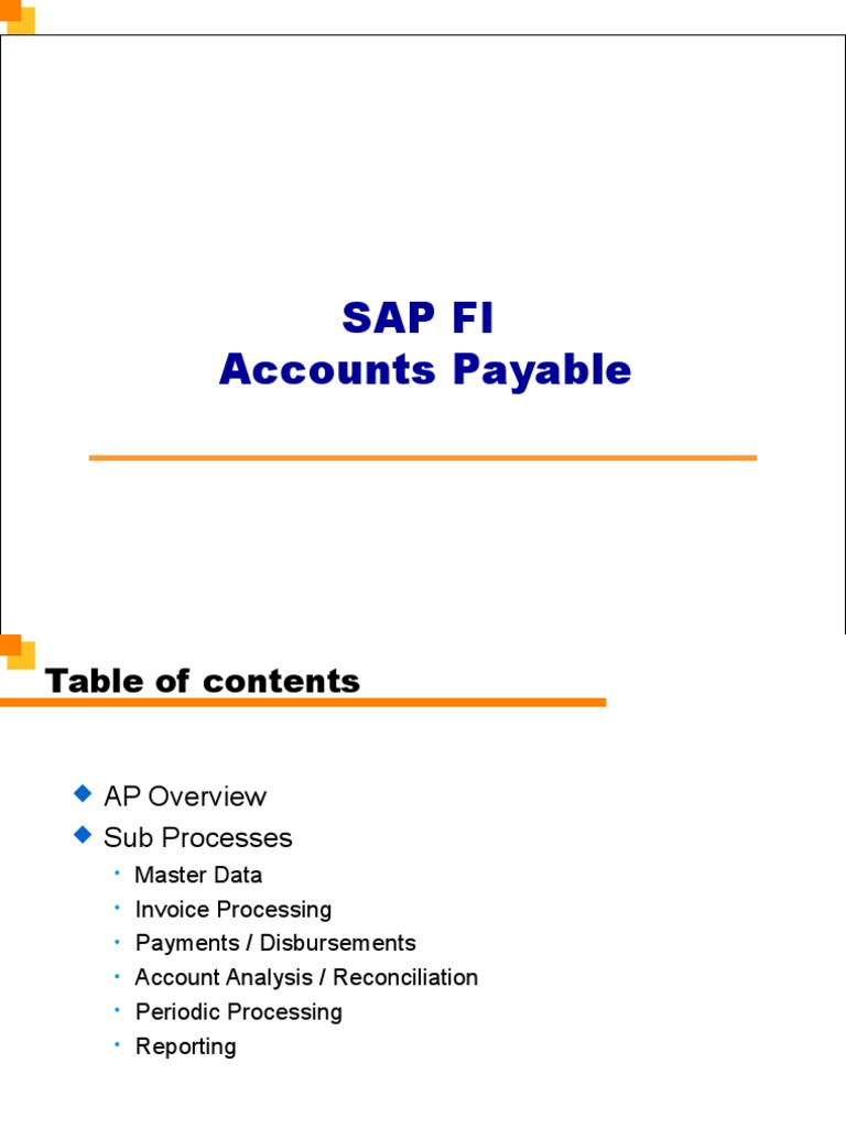 Sap Fi Accounts Payable | PDF