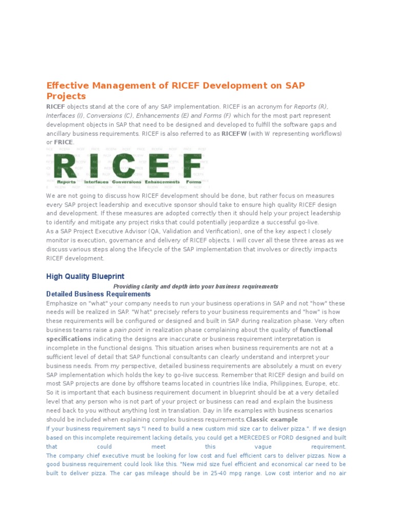 Effective Management Of Ricef Development On Sap Projects Pdf Business Process Production