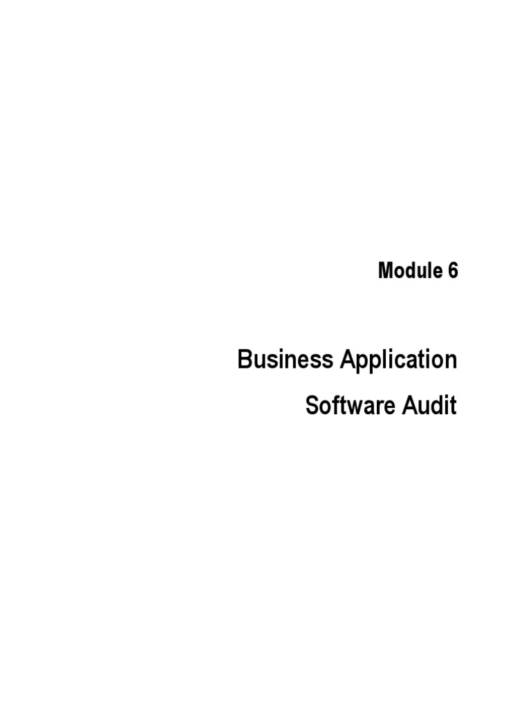 Module 6 BAS Audit | PDF | Internal Control | Databases