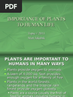 Lecture 8 Examples of Feature Writing | PDF | Narrative | News