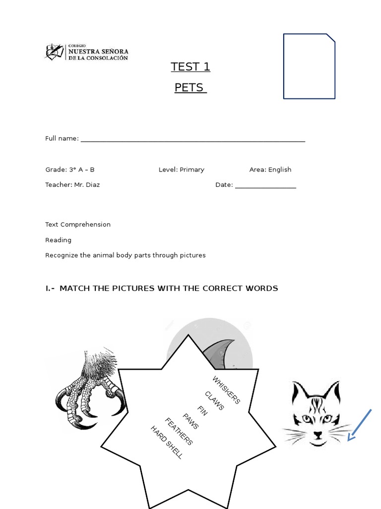 Test 1 Pets: Full Name | PDF | Language Arts & Discipline | Self ...