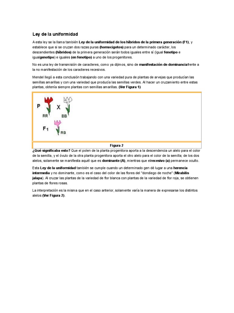 Ley de La Uniformidad | PDF
