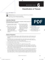 Lab Exercise 1 - Epithelial and Adipose Tissues | PDF | Epithelium ...