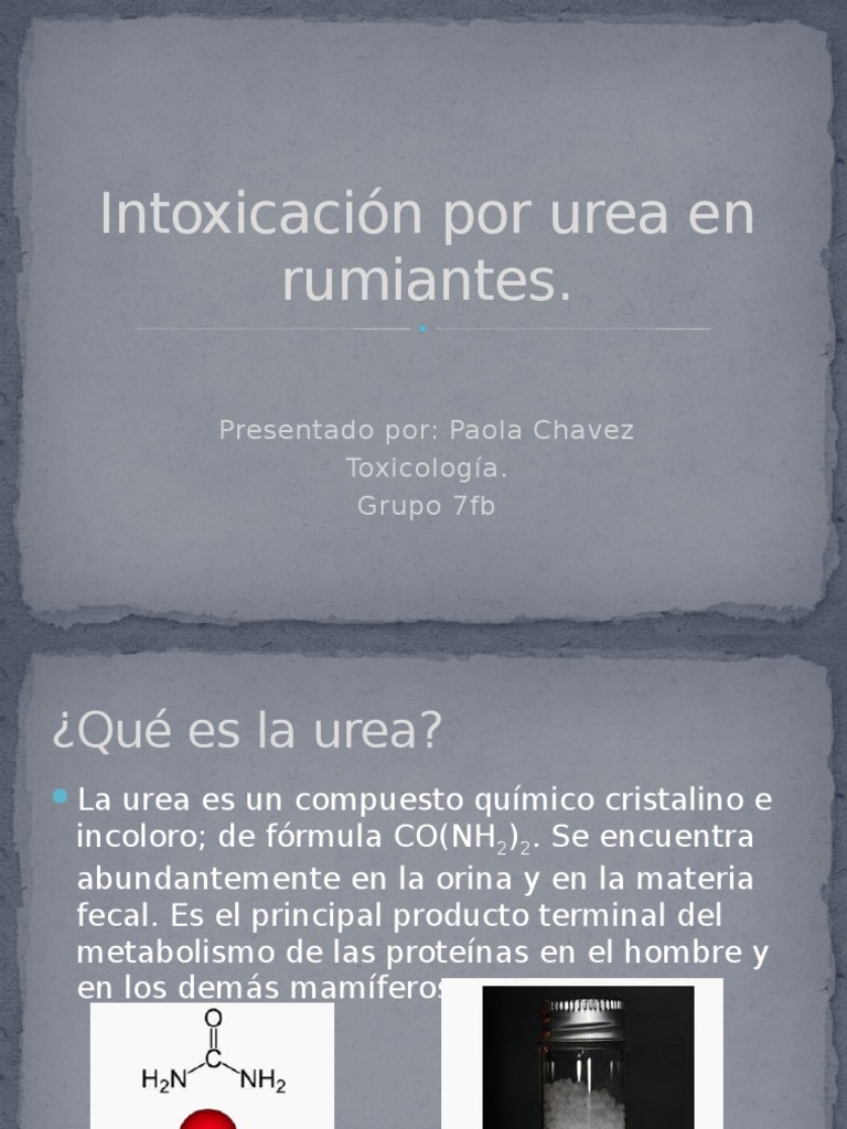Intoxicación por Urea en Rumiantes | PDF | Urea | Especialidades Medicas