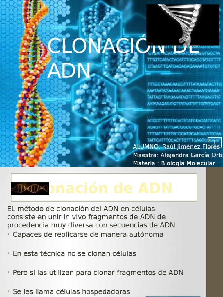 Proceso de Clonación de ADN Explicado | PDF | Clonación | Adn