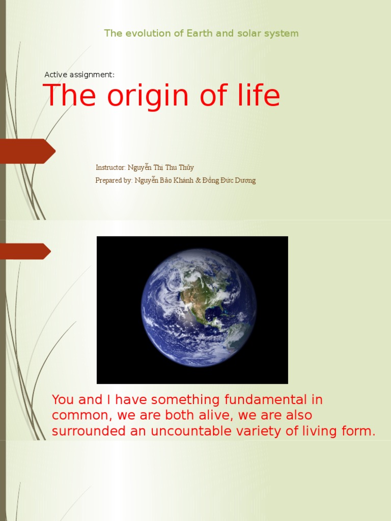 The Origin of Life | PDF | Abiogenesis | Life