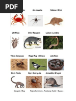 Ejemplos de sustantivos patronímicos | PDF | Estudios de idiomas ...