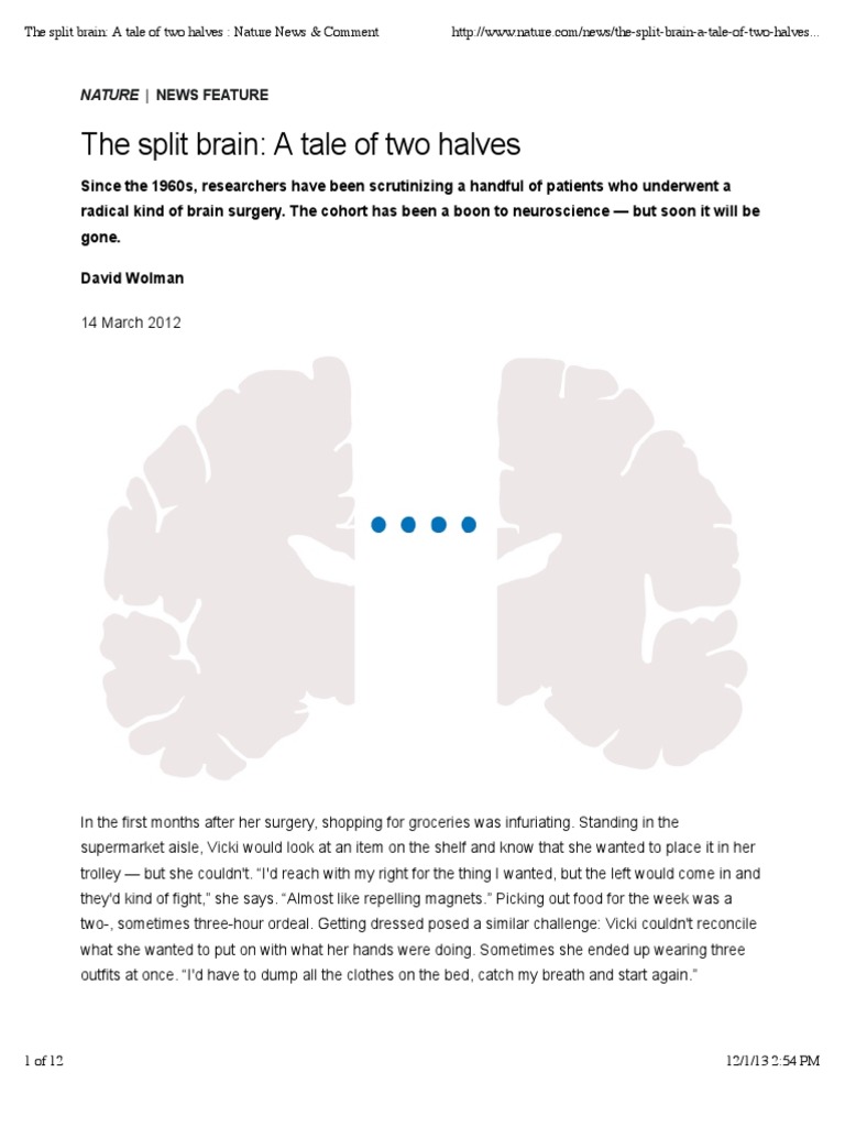 The Split Brain A Tale of Two Halves Nature News Comment | PDF ...