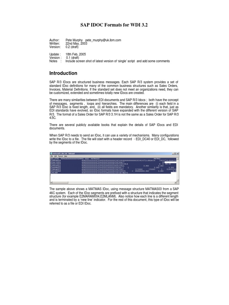 Wdi32 Idoc Formats | PDF | Electronic Data Interchange | Computer File
