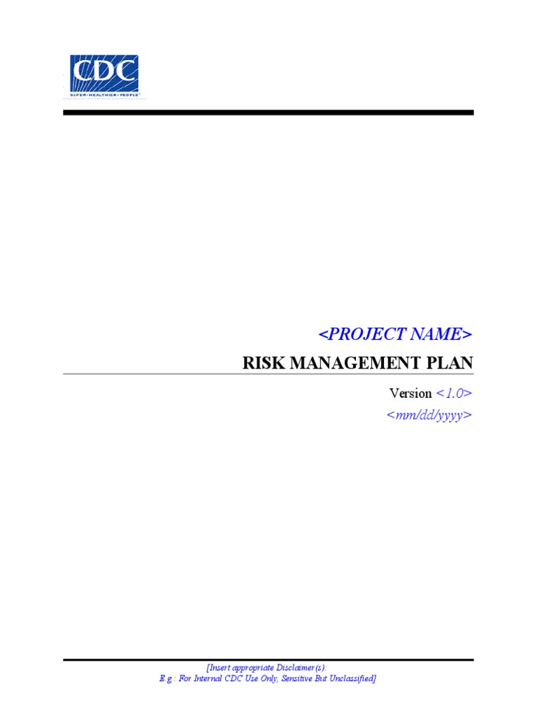 Risk Management Plan Template | PDF
