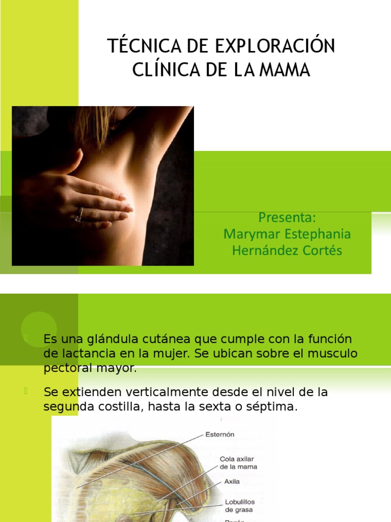 Exploración Clínica de la Mama: Guía Completa | PDF | Pecho | Mano