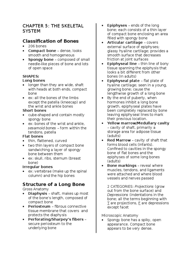 Classification of Bones: Chapter 5: The Skeletal System | PDF ...