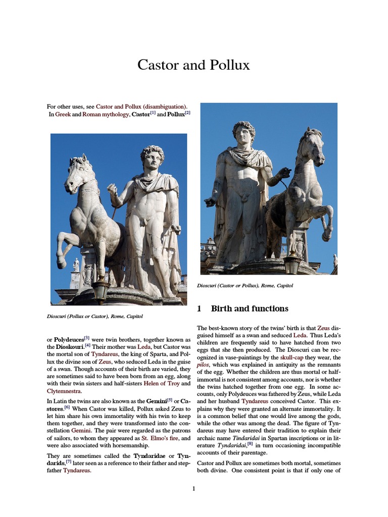 Castor and Pollux | PDF | Greek Mythology | Ancient Greek Religion
