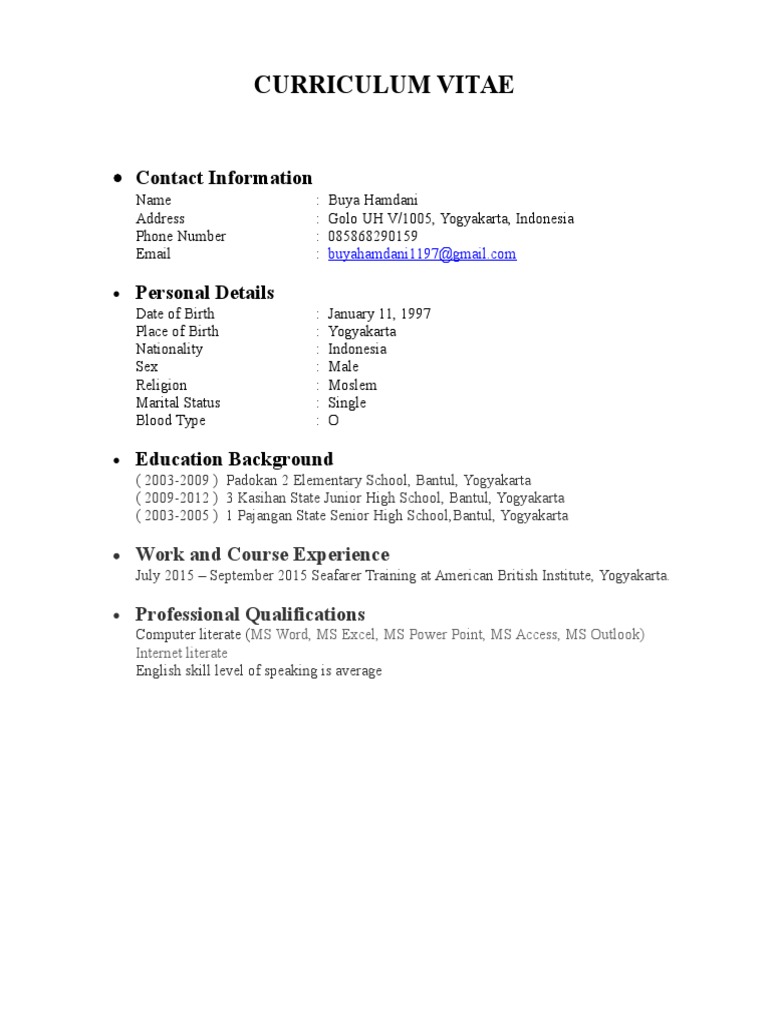 Curriculum Vitae in English | PDF