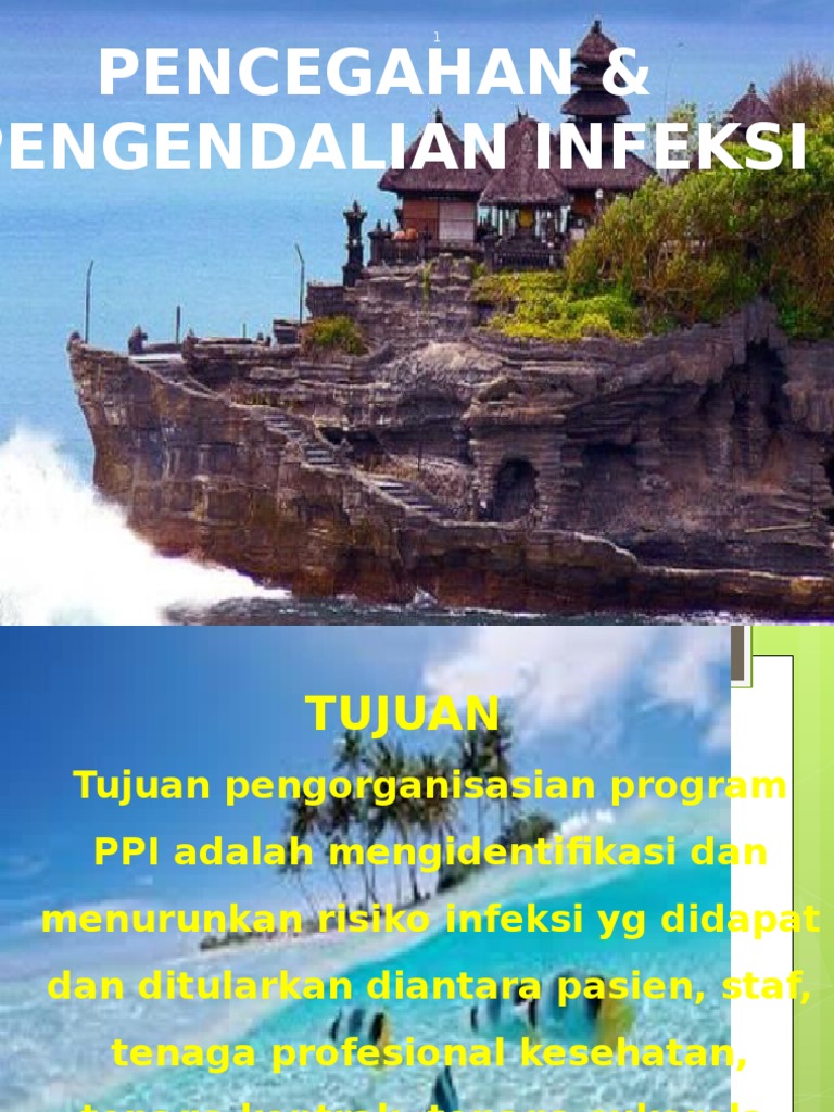 Materi Presentasi Ppi | PDF