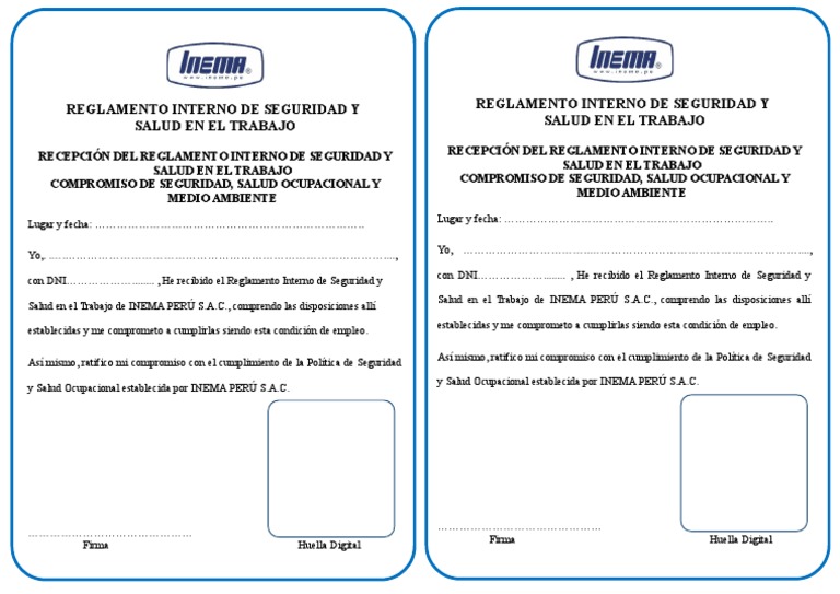Cargo de Entrega de RISST | PDF
