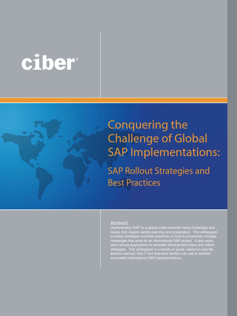 Global Template SAP | PDF | Business Process | Sap Se