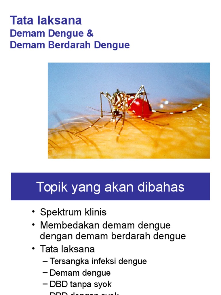 Tatalaksana DBD | PDF