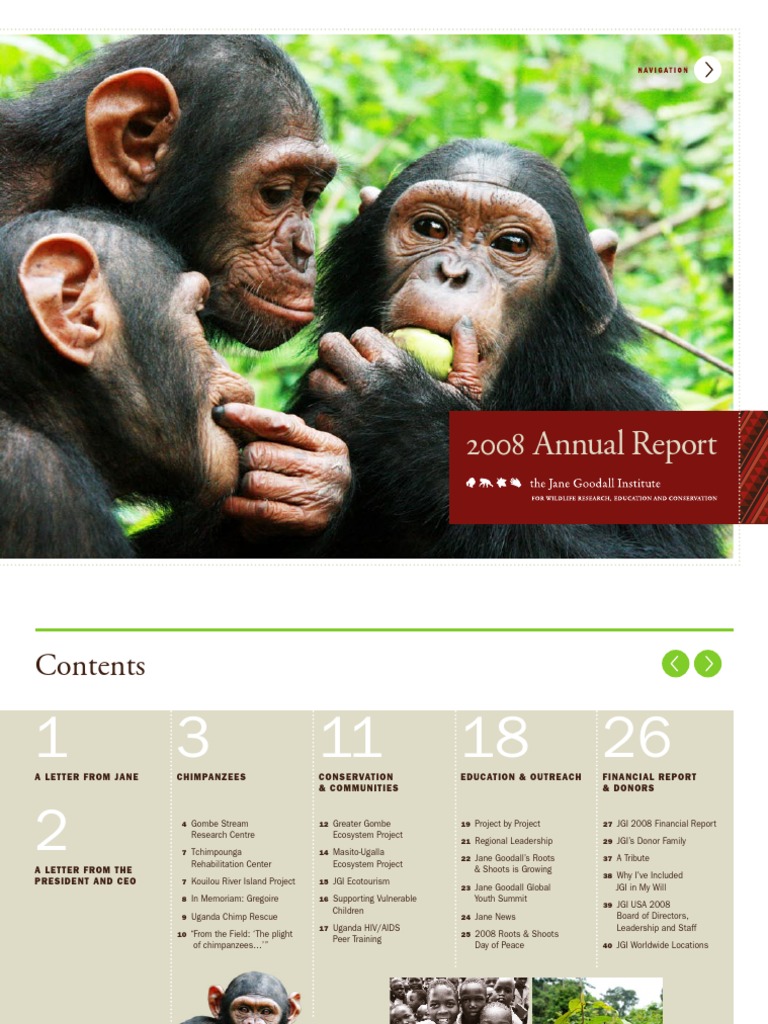 2008 Annual Report | Download Free PDF | Chimpanzee | Nature