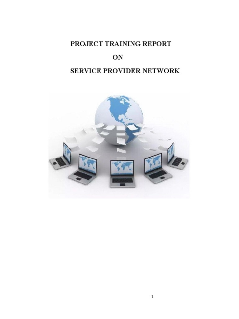Service Provider Network Overview | PDF | Network Switch | Computer Network