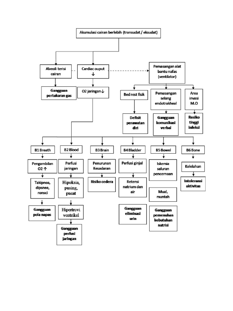 Pathway Edema Paru | PDF