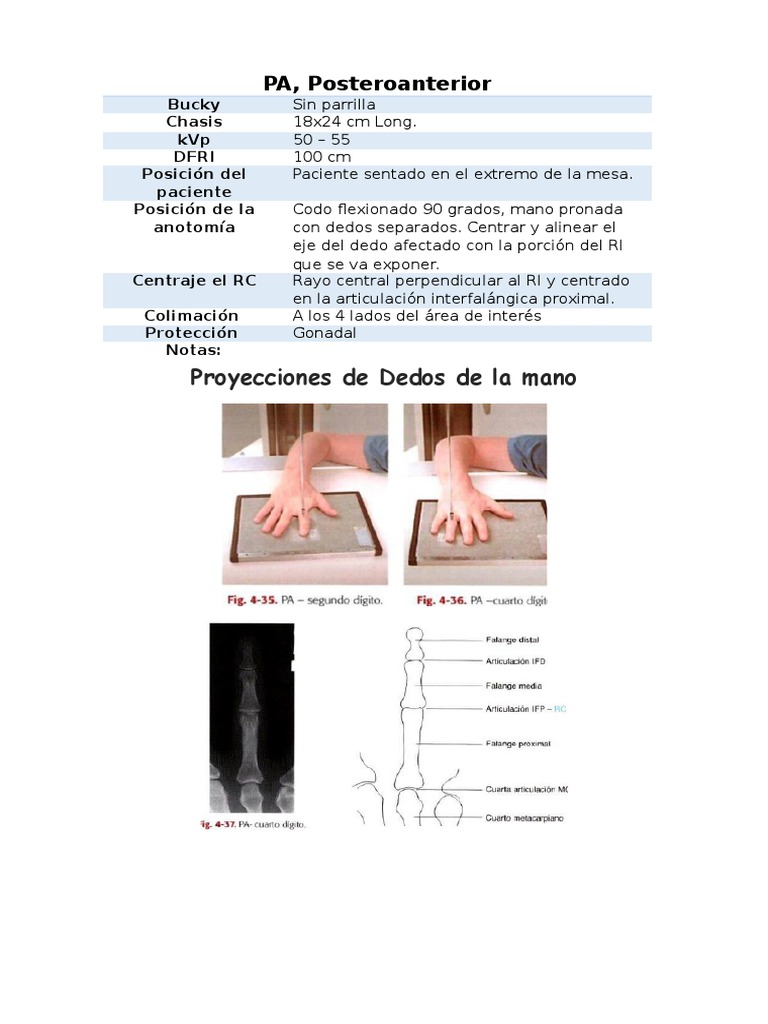 Proyecciones Radiológicas | PDF | Mano | Hombro