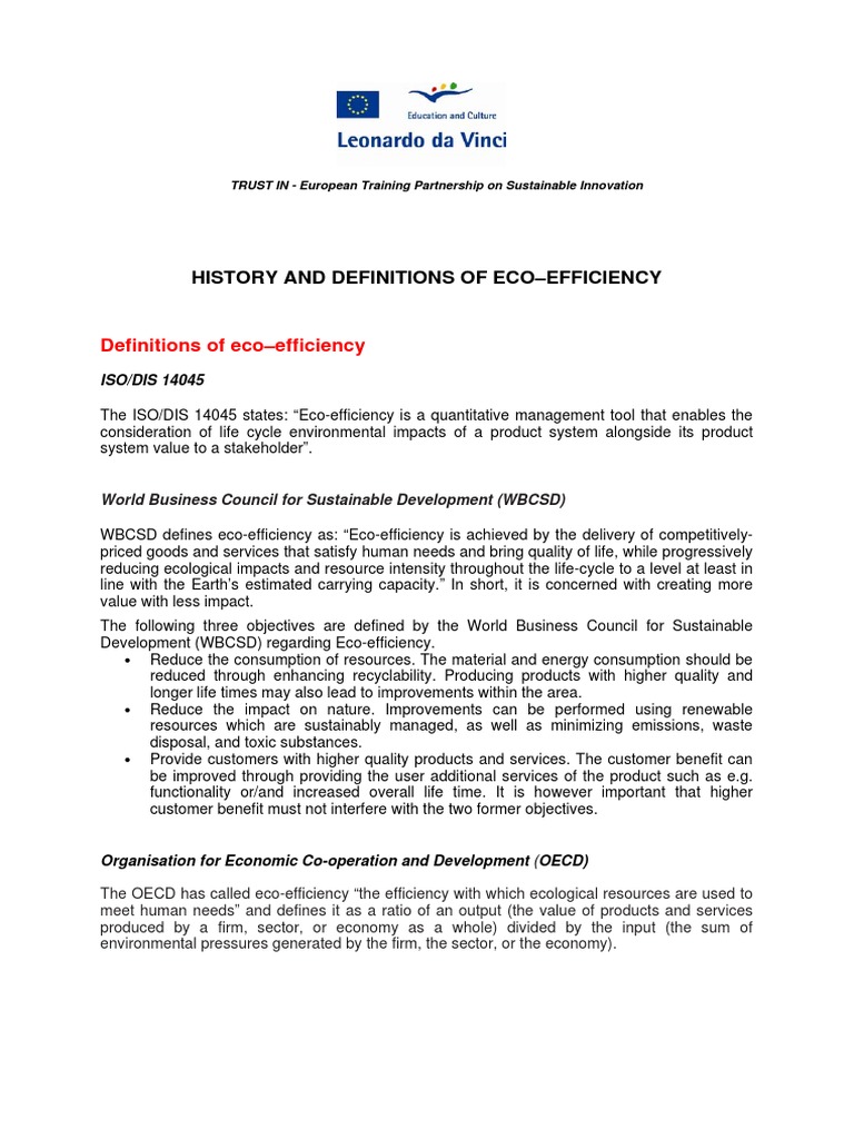 Eco-Efficiency Principles for Sustainability | PDF | Sustainability ...