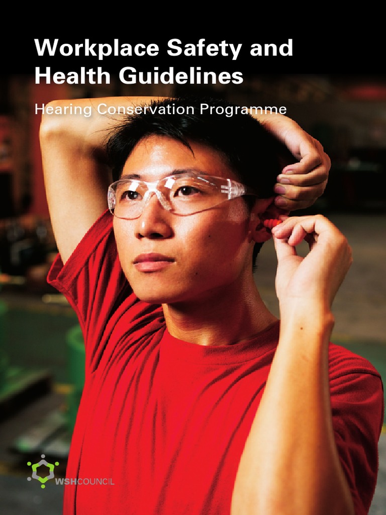 Guidelines On Hearing Conservation Programme Pdf Noise Hearing Loss