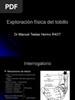 Linea de Feiss, Linea de Helbing | PDF | Pie | Anatomía humana