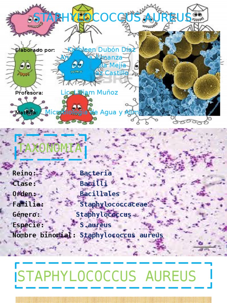 Staphylococcus Aureus