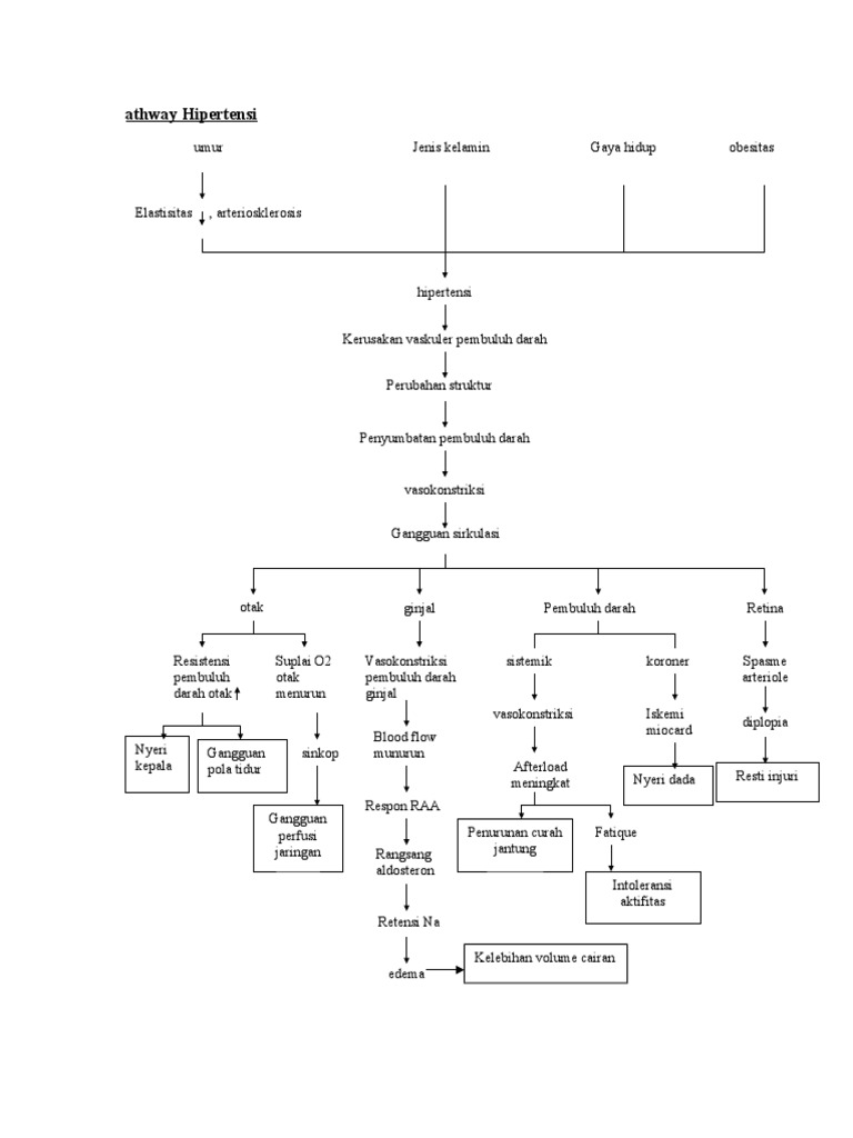 Pathway Hipertensi | PDF