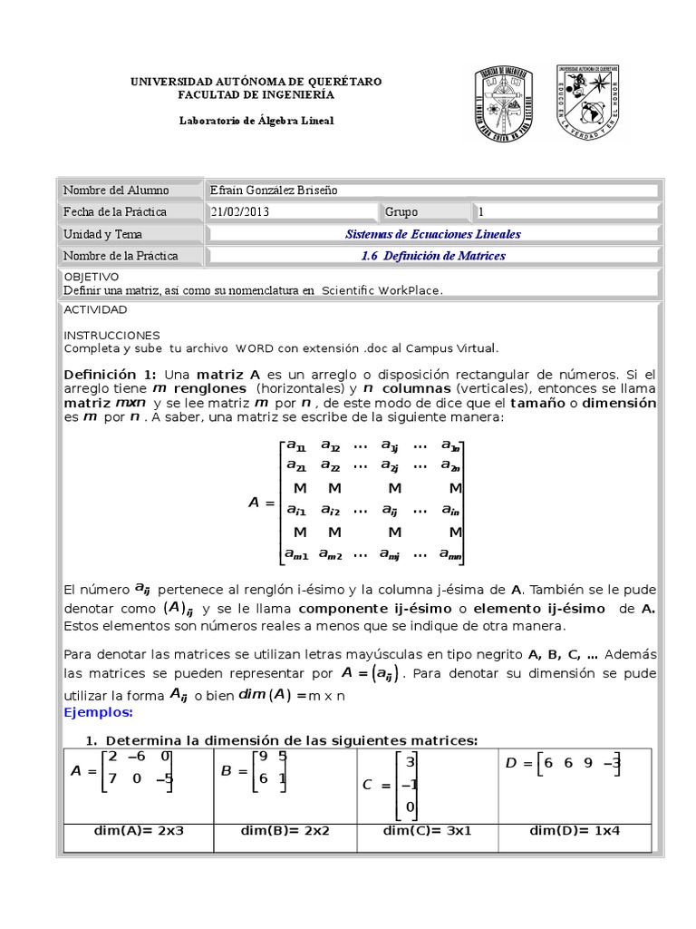 Definición de matrices | PDF | Matriz (Matemáticas) | Álgebra