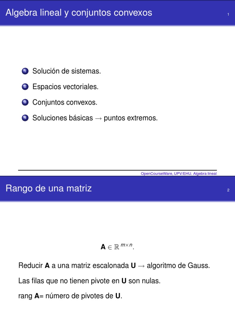 Álgebra Lineal: Sistemas y Conjuntos Convexos | PDF | Espacio vectorial ...