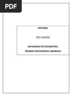 Plantilla para calificar TEST CLEAVER